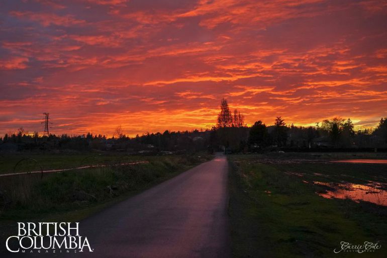 Chasing the Sun - The Breathtaking Sunrises and Sunsets of Victoria, BC ...
