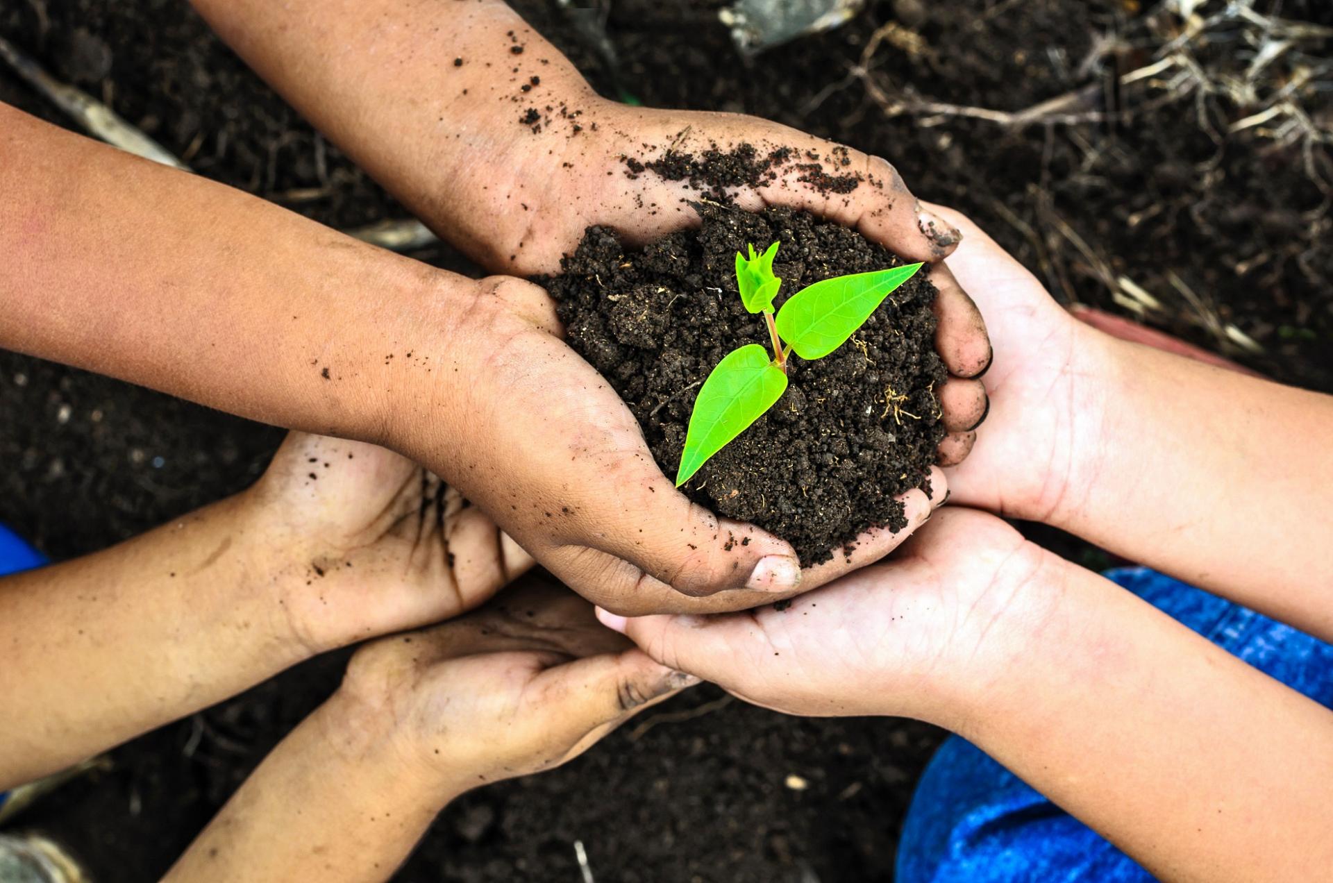 10 BC Eco-Charities to Get Involved With This Earth Day • British ...