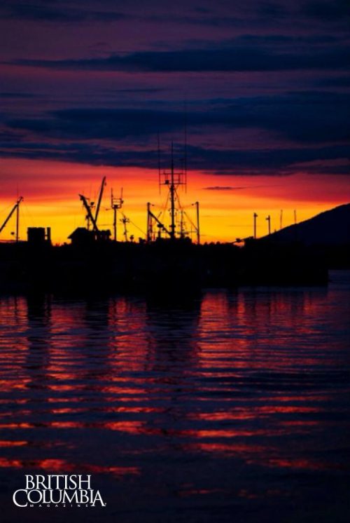 Chasing the Sun - The Breathtaking Sunrises and Sunsets of Tofino ...