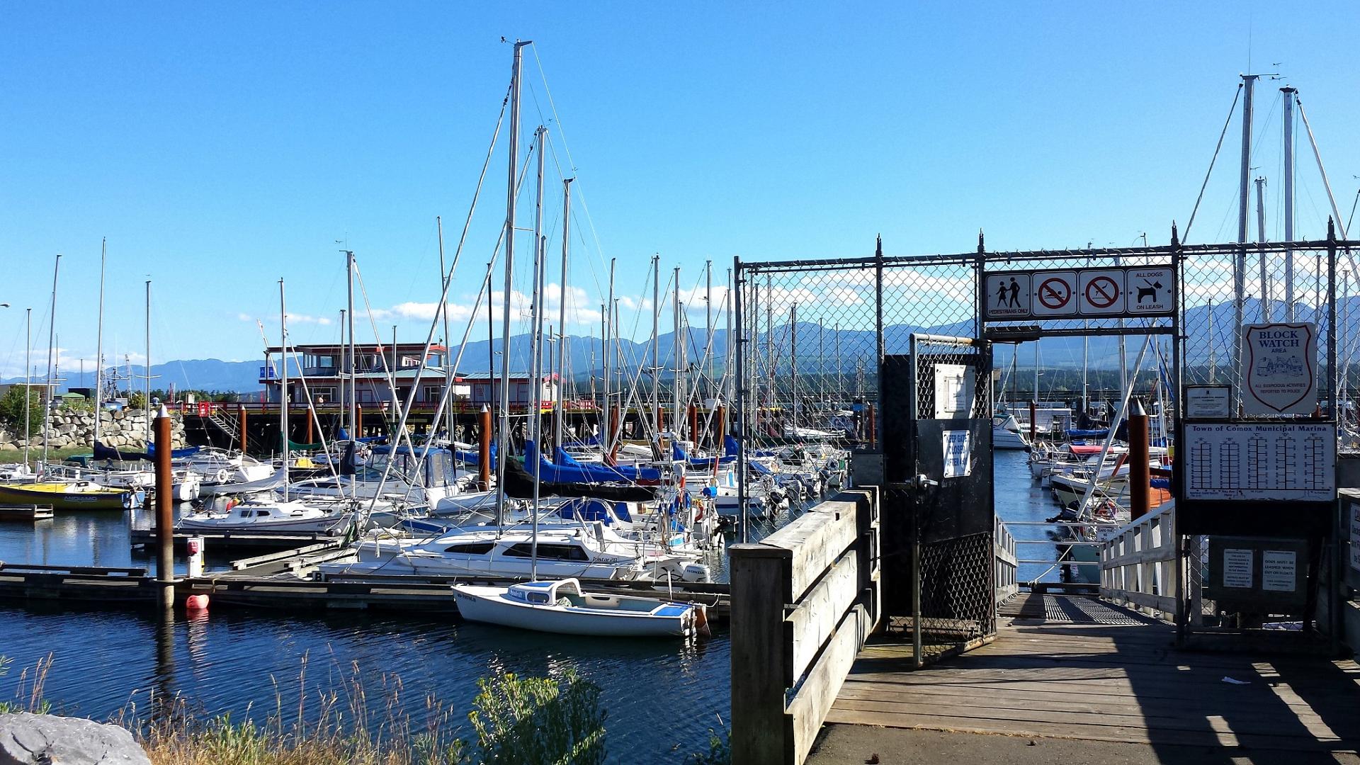 BC Seafood & Shellfish Festival - No Better Time to Visit the Comox ...