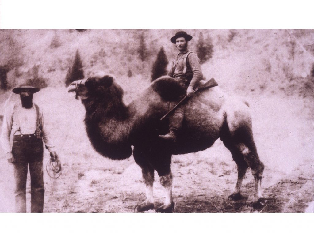 33 British Columbia Gold Rush Towns • British Columbia Magazine