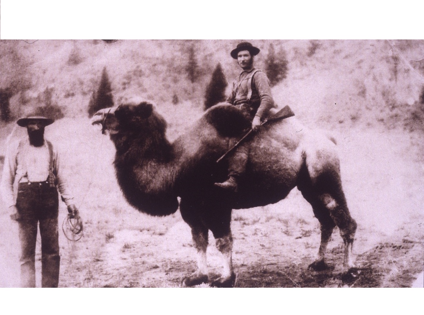 33 British Columbia Gold Rush Towns • British Columbia Magazine