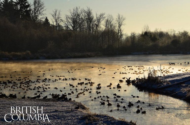 Chasing the Sun - The Breathtaking Sunrises and Sunsets of Surrey ...