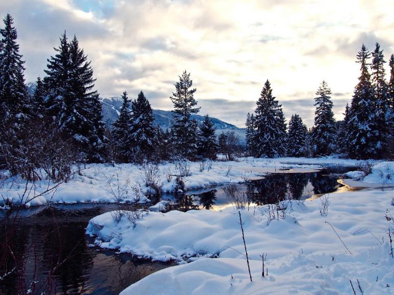 5 Sea-to-Sky Snowshoe Trails to Hike this Weekend • British Columbia ...