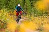 The Golden, BC Fall Adventure Guide • British Columbia Magazine