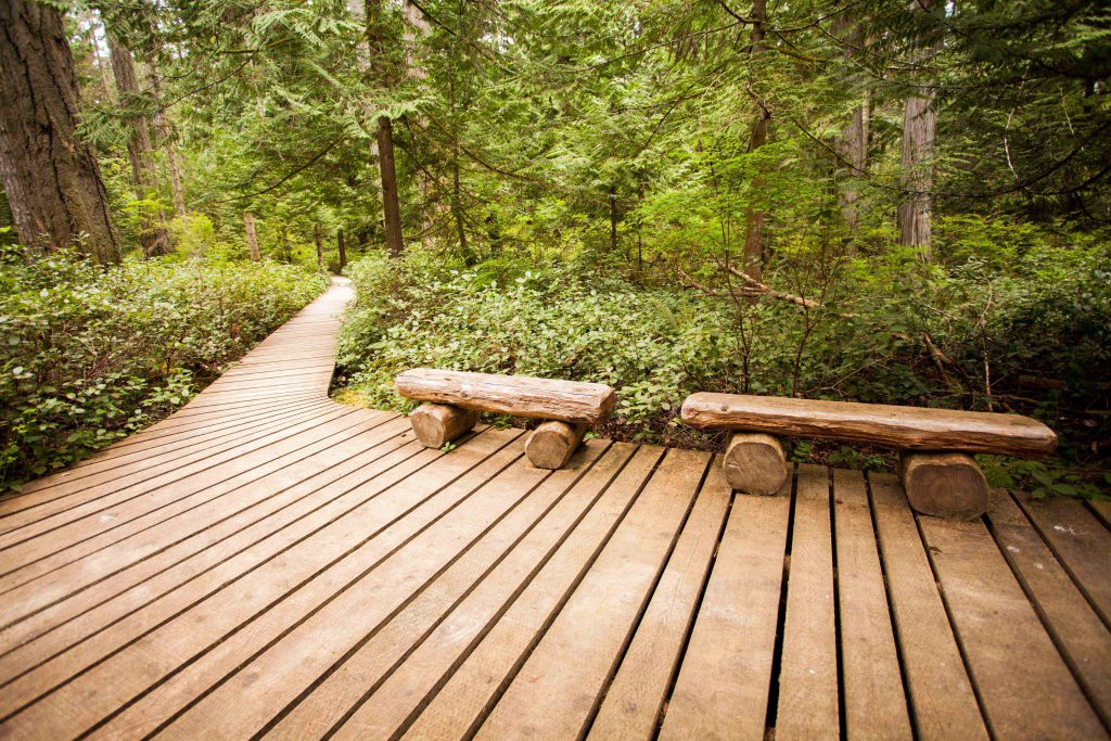 Spotlight: Milner Gardens & Woodland • British Columbia Magazine