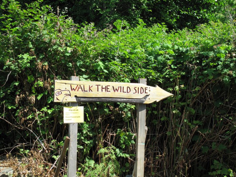 Take A Hike On The Wild Side • British Columbia Magazine