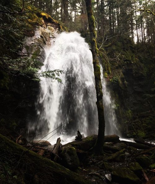 Hiking The Christie Falls Trail • British Columbia Magazine
