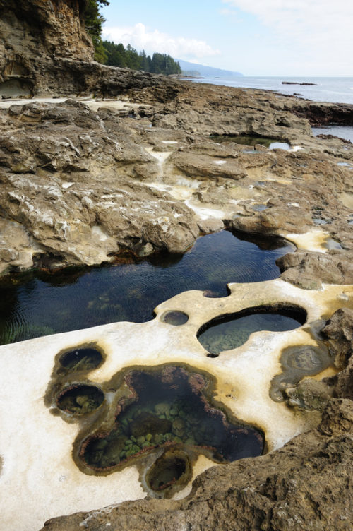 Top 5 Things To Do Around Sooke • British Columbia Magazine