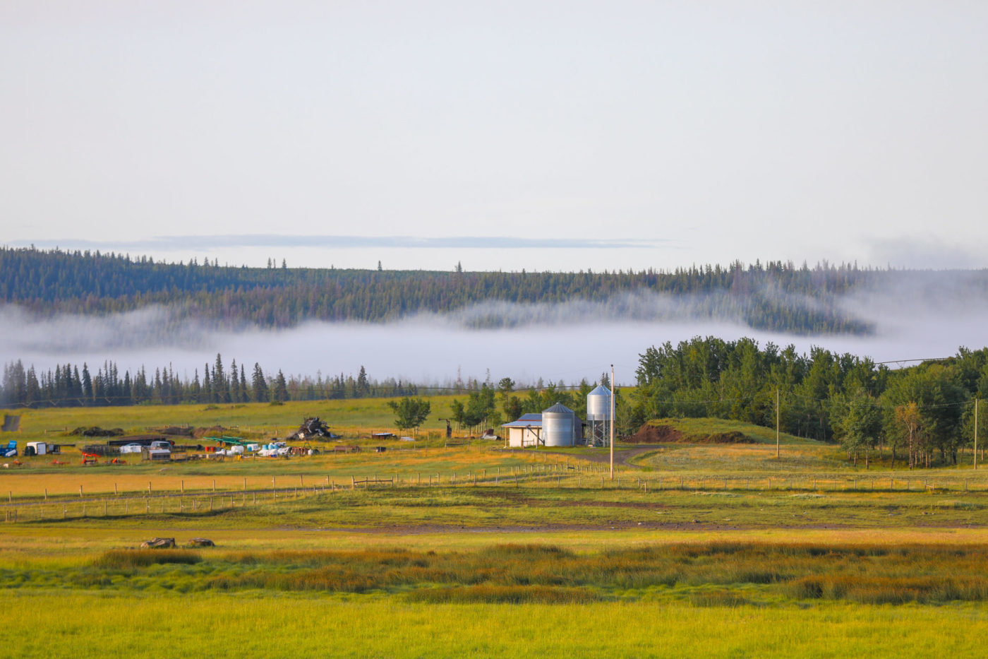 Take a Tour of Pasture to Plate • British Columbia Magazine