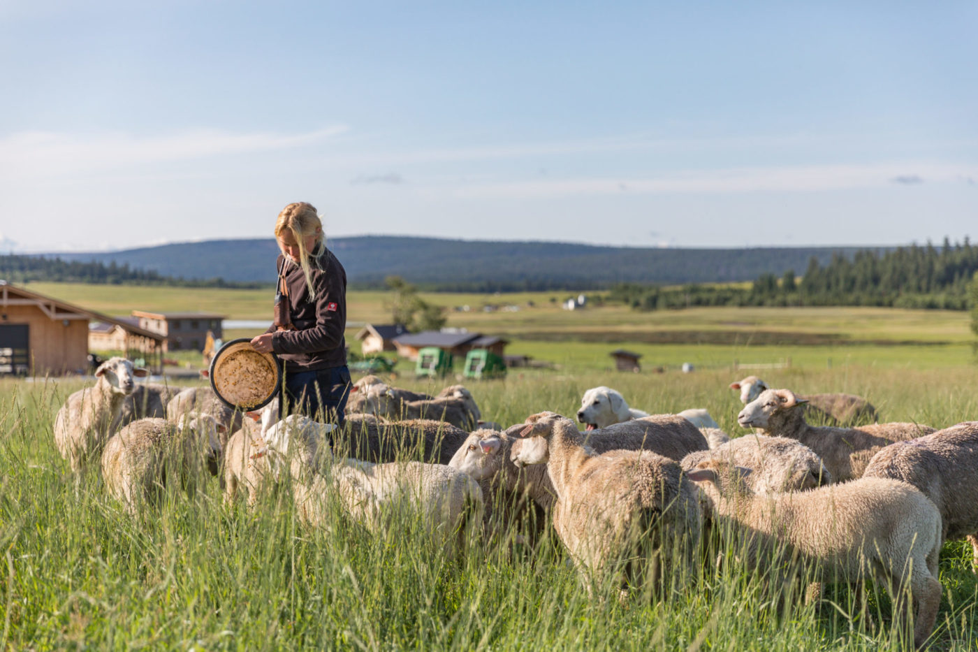 Take a Tour of Pasture to Plate • British Columbia Magazine