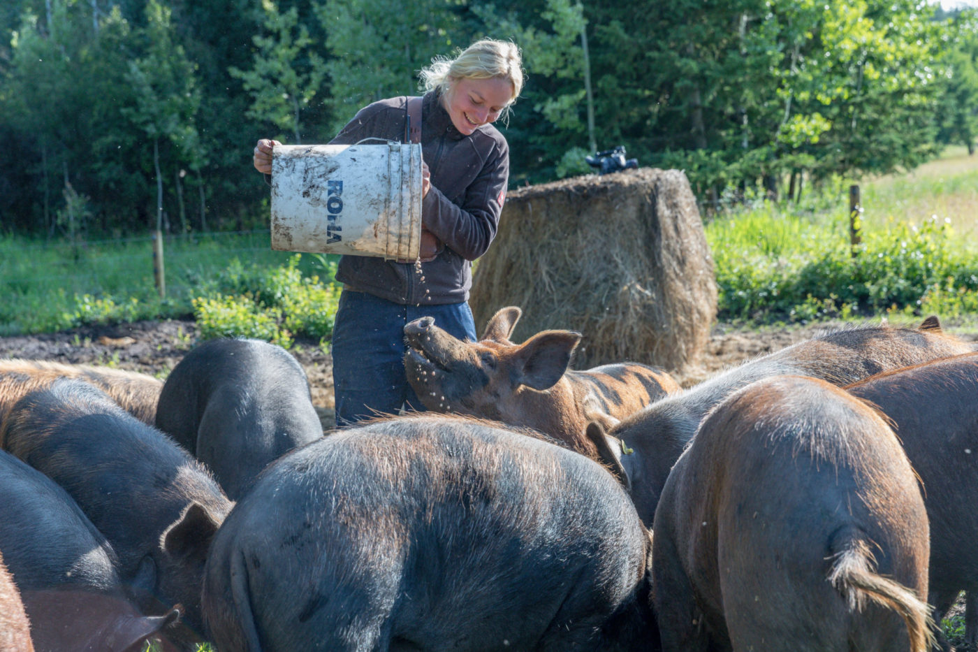 Take a Tour of Pasture to Plate • British Columbia Magazine