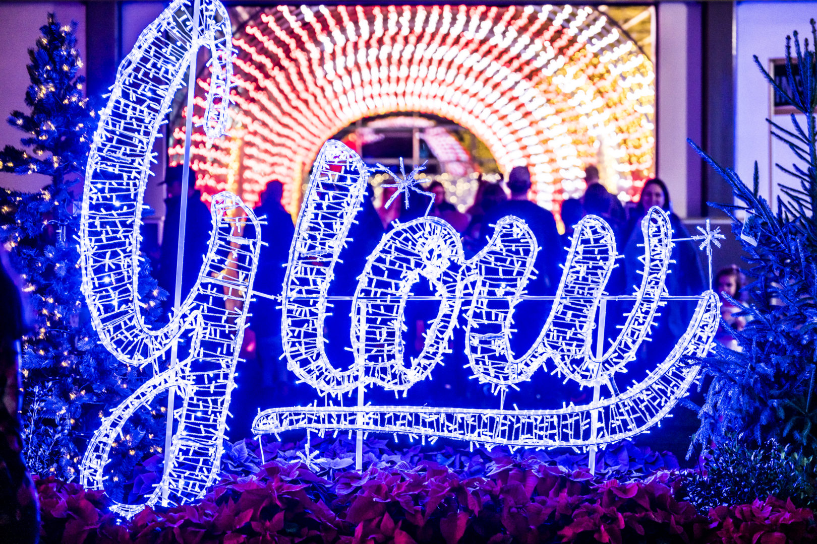 Christmas Glow Gardens are Coming to Downtown Vancouver and Abbotsford ...