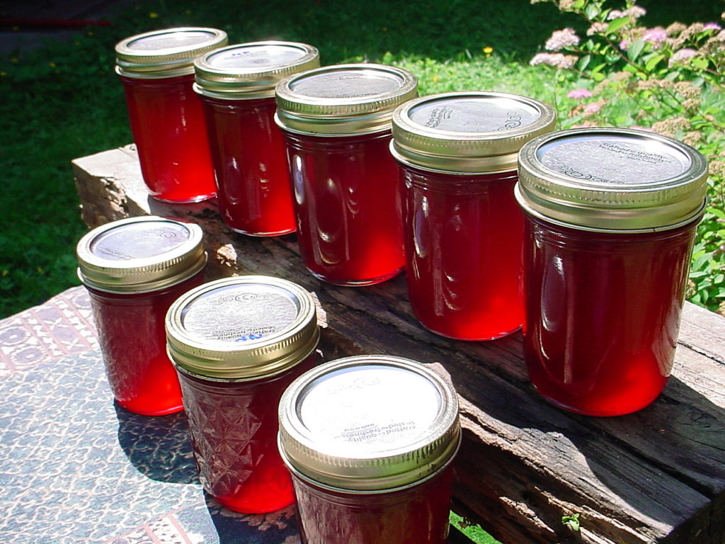 Making Fireweed Jelly • British Columbia Magazine