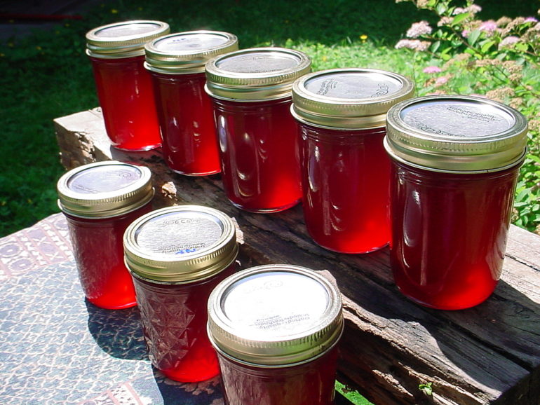 Making Fireweed Jelly • British Columbia Magazine
