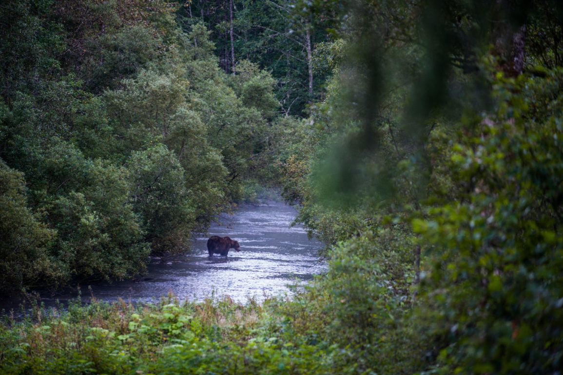 8 Reasons to Plan a Road Trip to Stewart • British Columbia Magazine