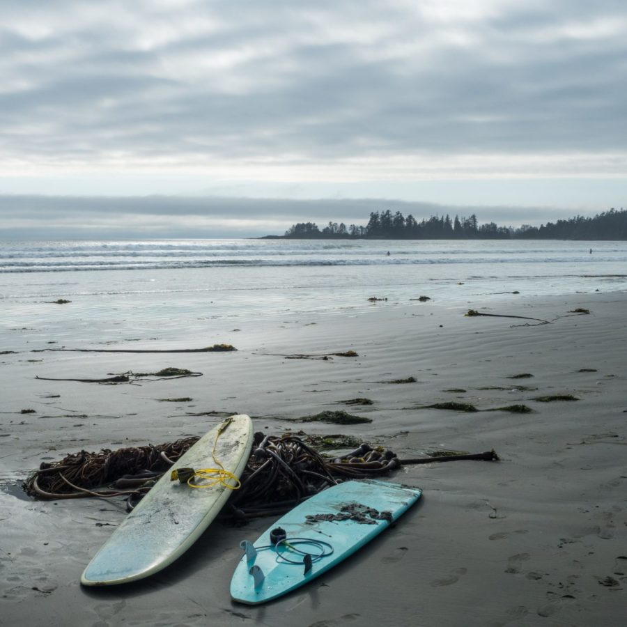 Explore: San Josef Bay & Cape Scott Provincial Park • British Columbia ...