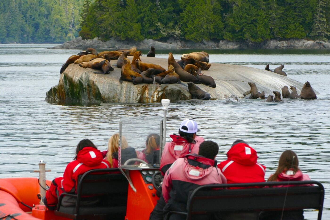 Taking Time for Indigenous Tourism : My Powell River Now