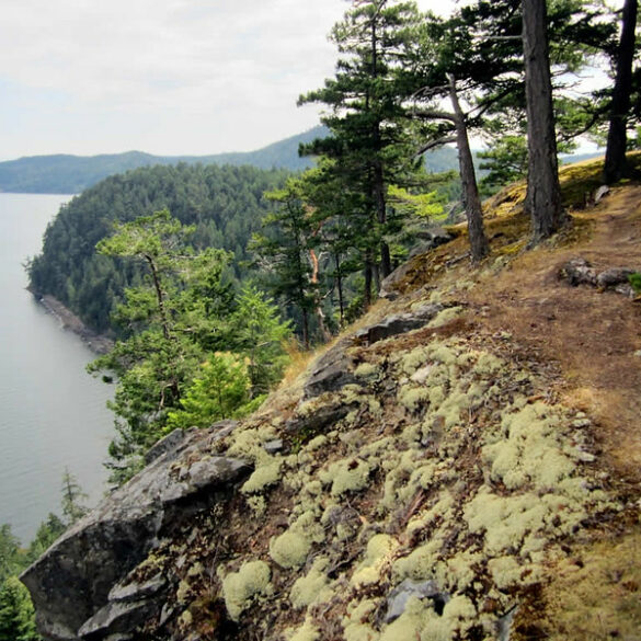 50 Things to do in the Comox Valley • British Columbia Magazine