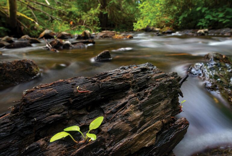 Anatomy of a Watershed • British Columbia Magazine