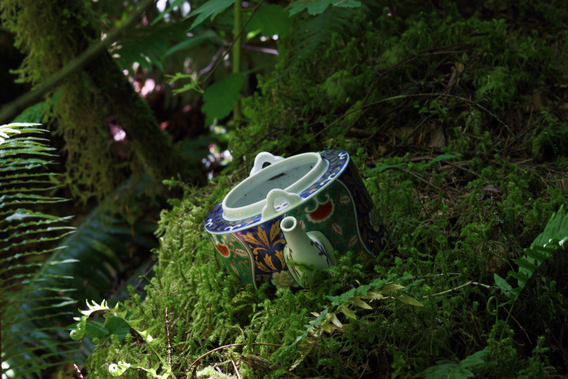 Hiking Teapot Hill • British Columbia Magazine