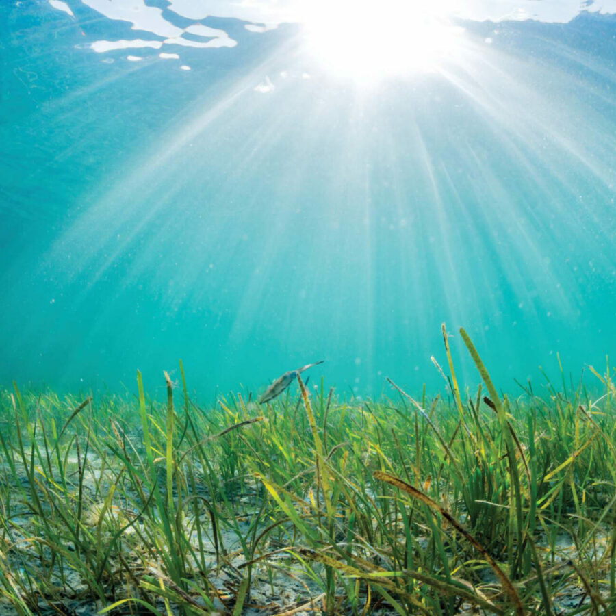 Nass Valley & BC's Volcanic History • British Columbia Magazine