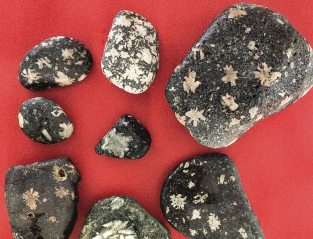 Texada Time Warp • British Columbia Magazine