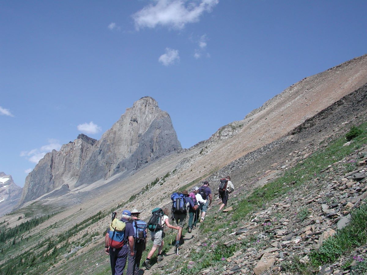 What’s So Special About The Burgess Shale? • British Columbia Magazine