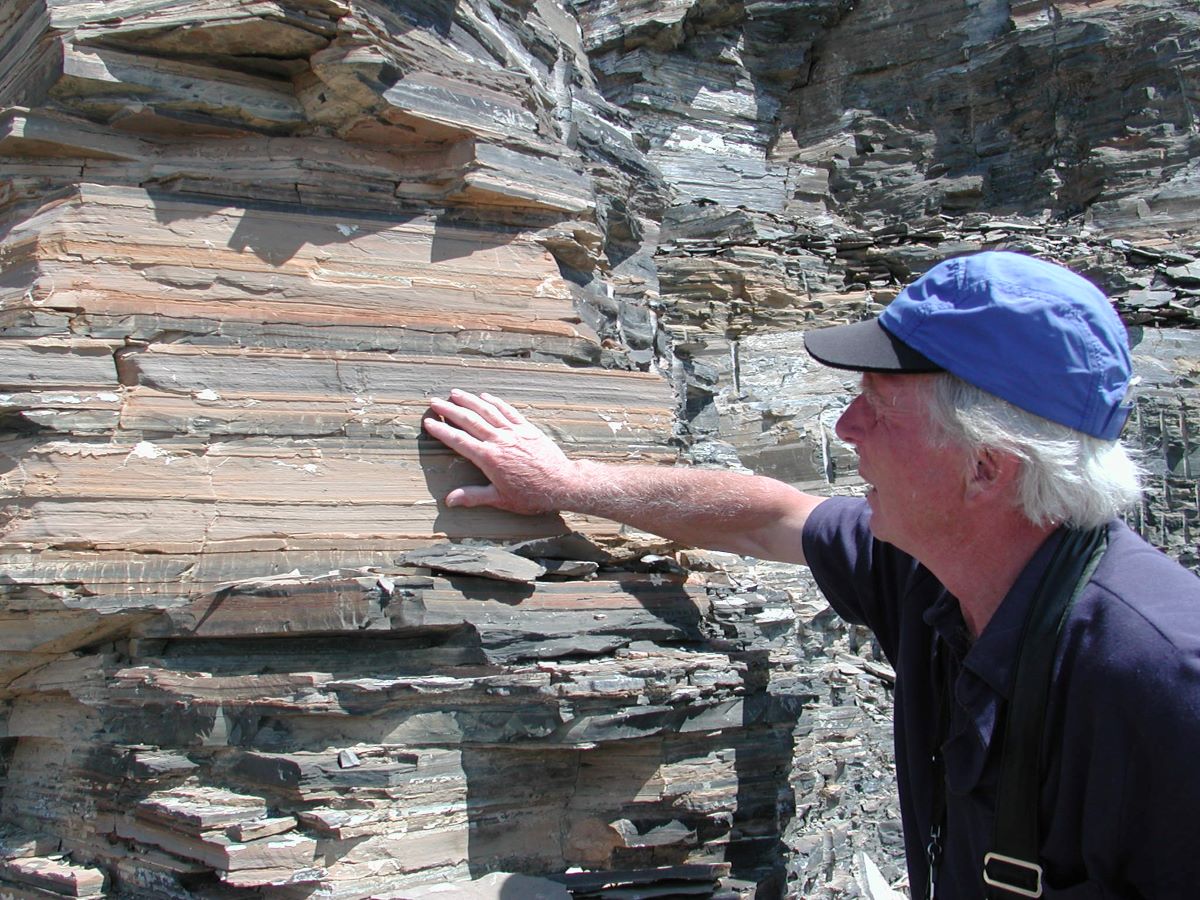 What’s So Special About The Burgess Shale? • British Columbia Magazine