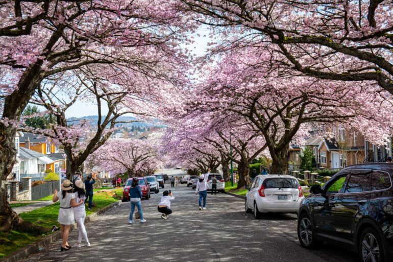 Seven Places To See BC’s Blooms This Spring • British Columbia Magazine
