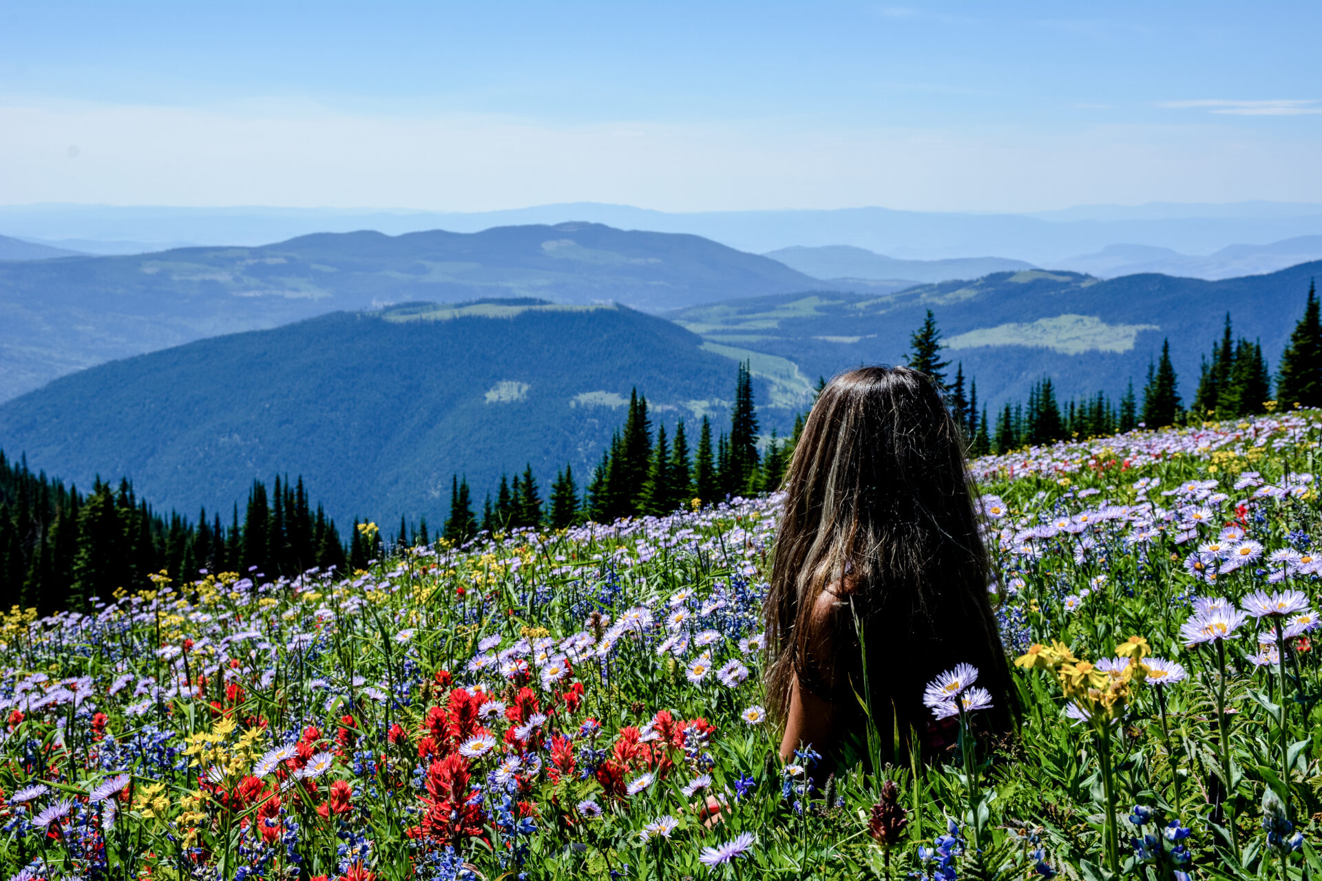 Seven Places To See BC’s Blooms This Spring • British Columbia Magazine