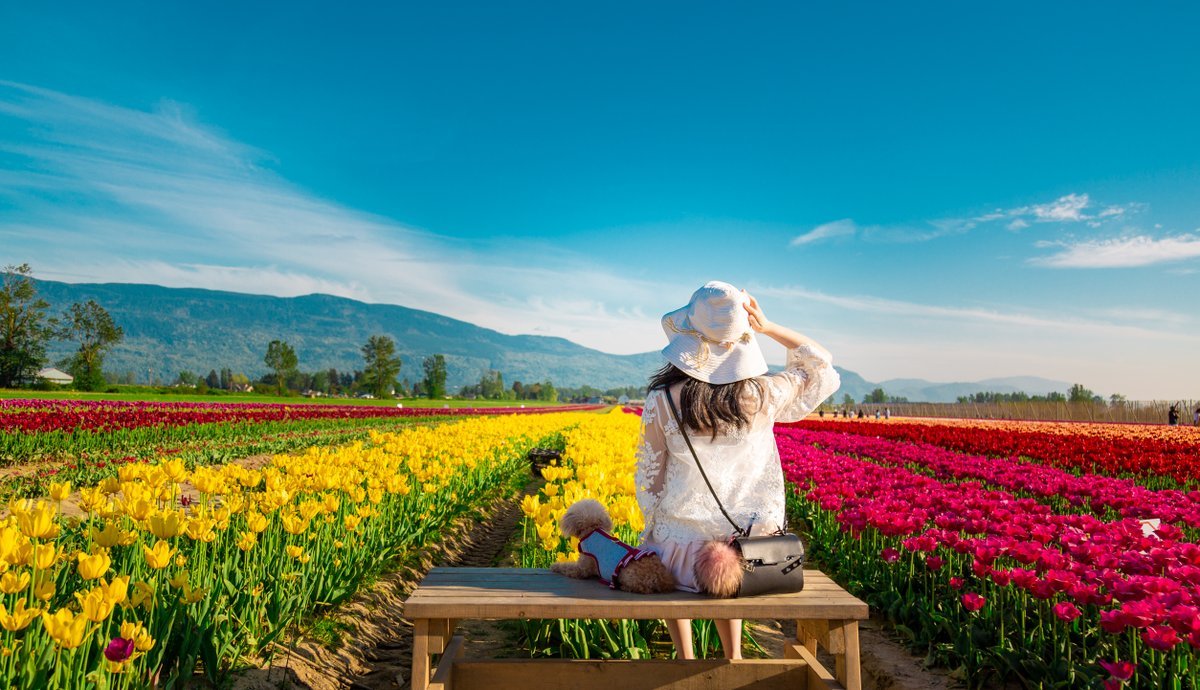 Seven Places To See BC’s Blooms This Spring • British Columbia Magazine