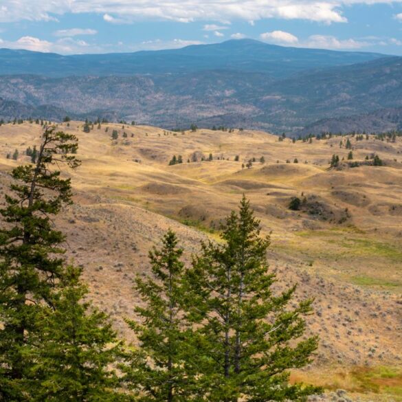 50 Things to do in the Comox Valley • British Columbia Magazine