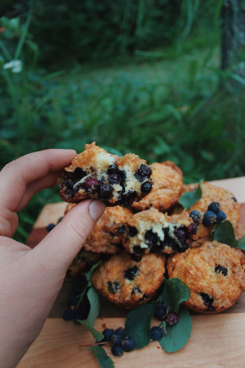 A Forager's Feast: Saskatoon Muffins • British Columbia Magazine