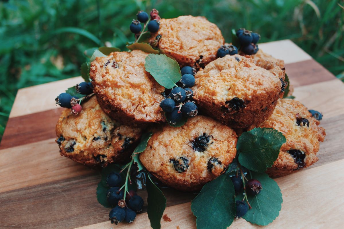 A Forager's Feast: Saskatoon Muffins • British Columbia Magazine