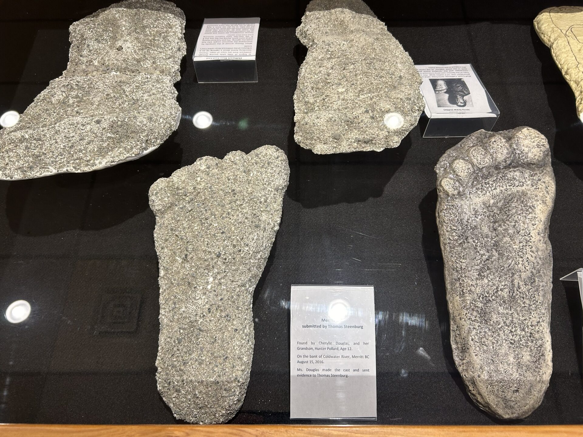 Finding Sasquatch • British Columbia Magazine