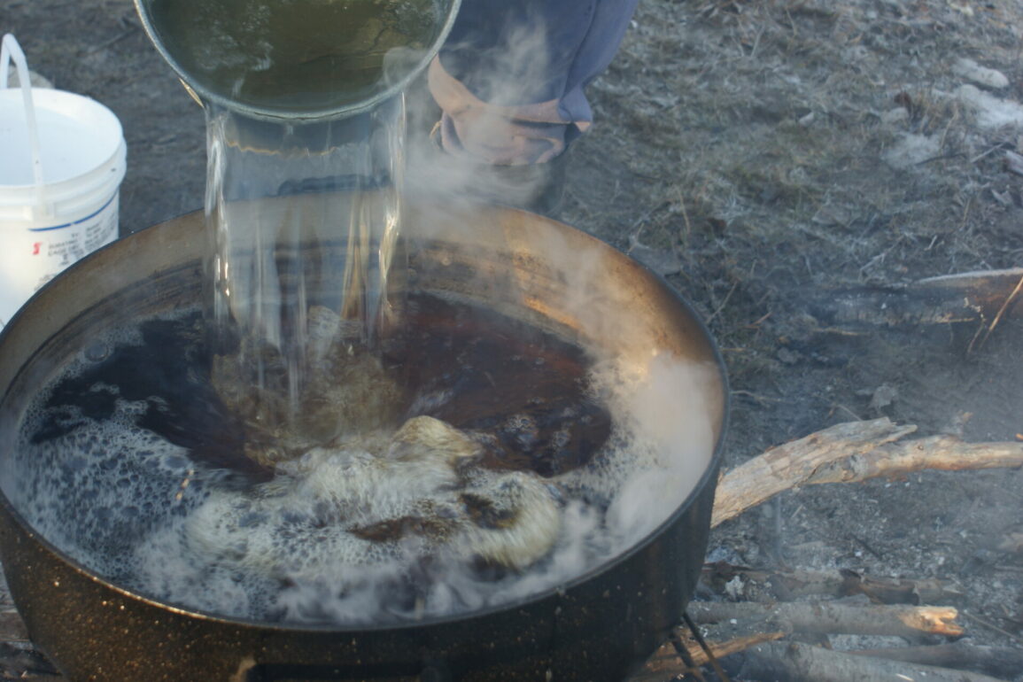 Making Birch Syrup • British Columbia Magazine
