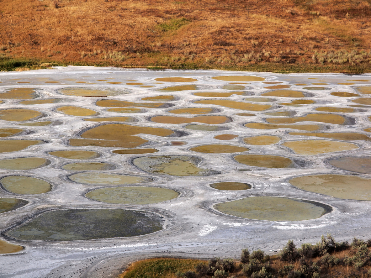 The Magic Of Spotted Lake • British Columbia Magazine