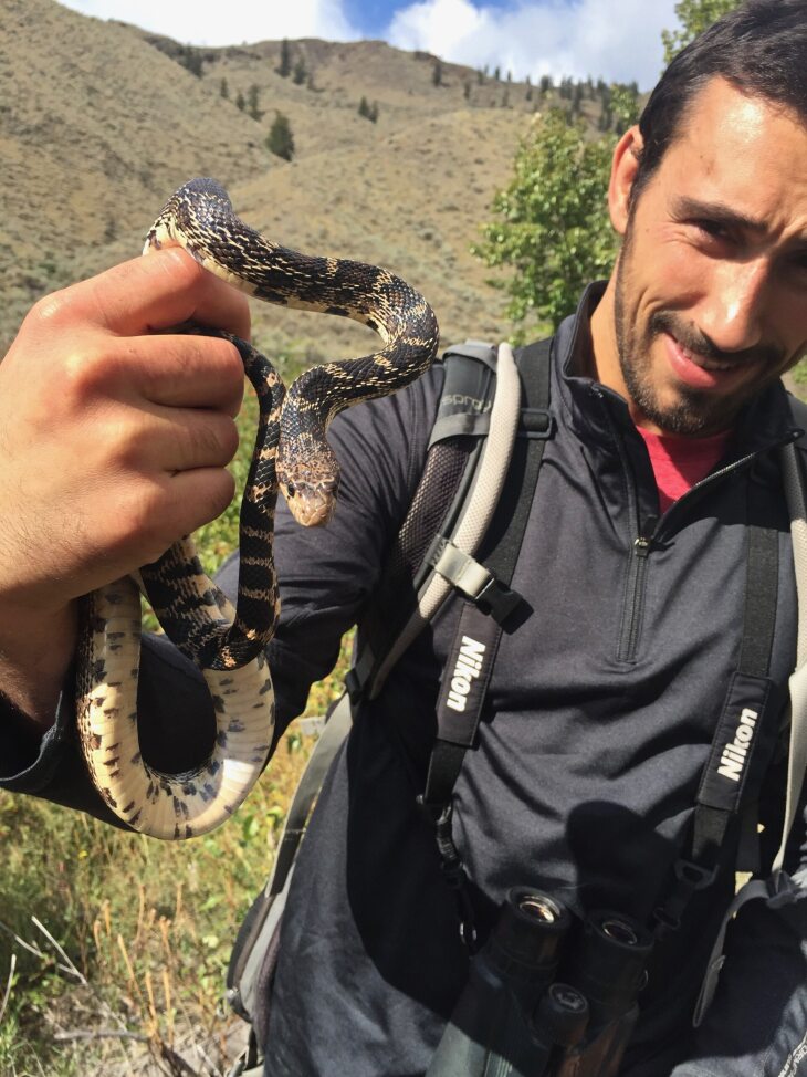Snakes in BC • British Columbia Magazine