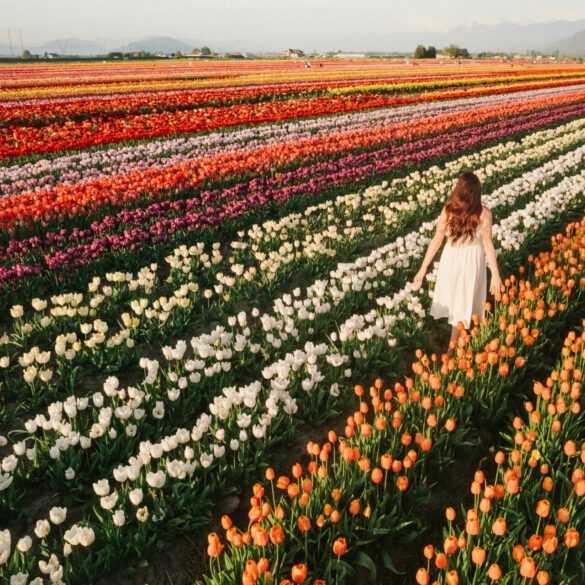 50 Things to do in the Comox Valley • British Columbia Magazine