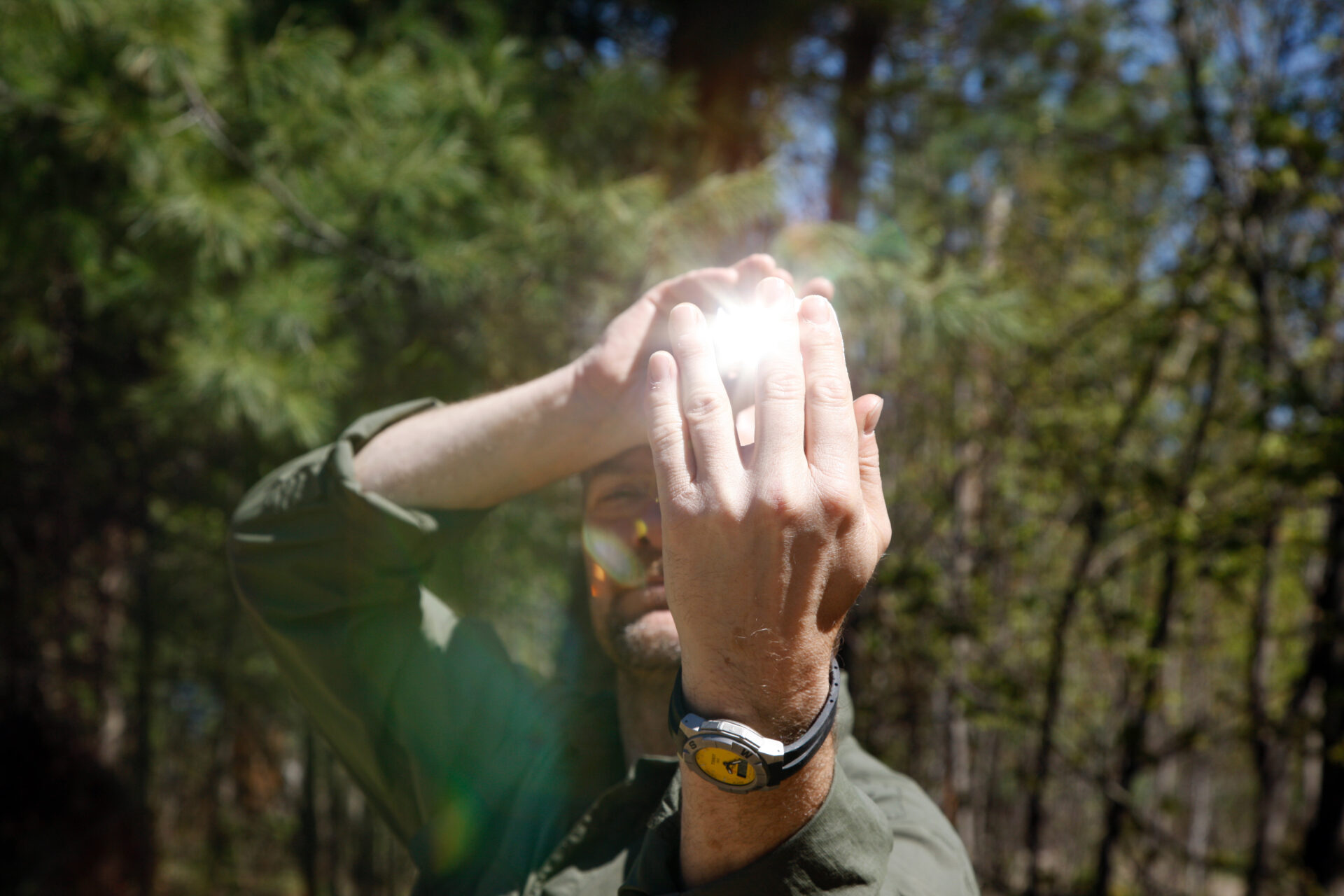 Survival: Signaling • British Columbia Magazine