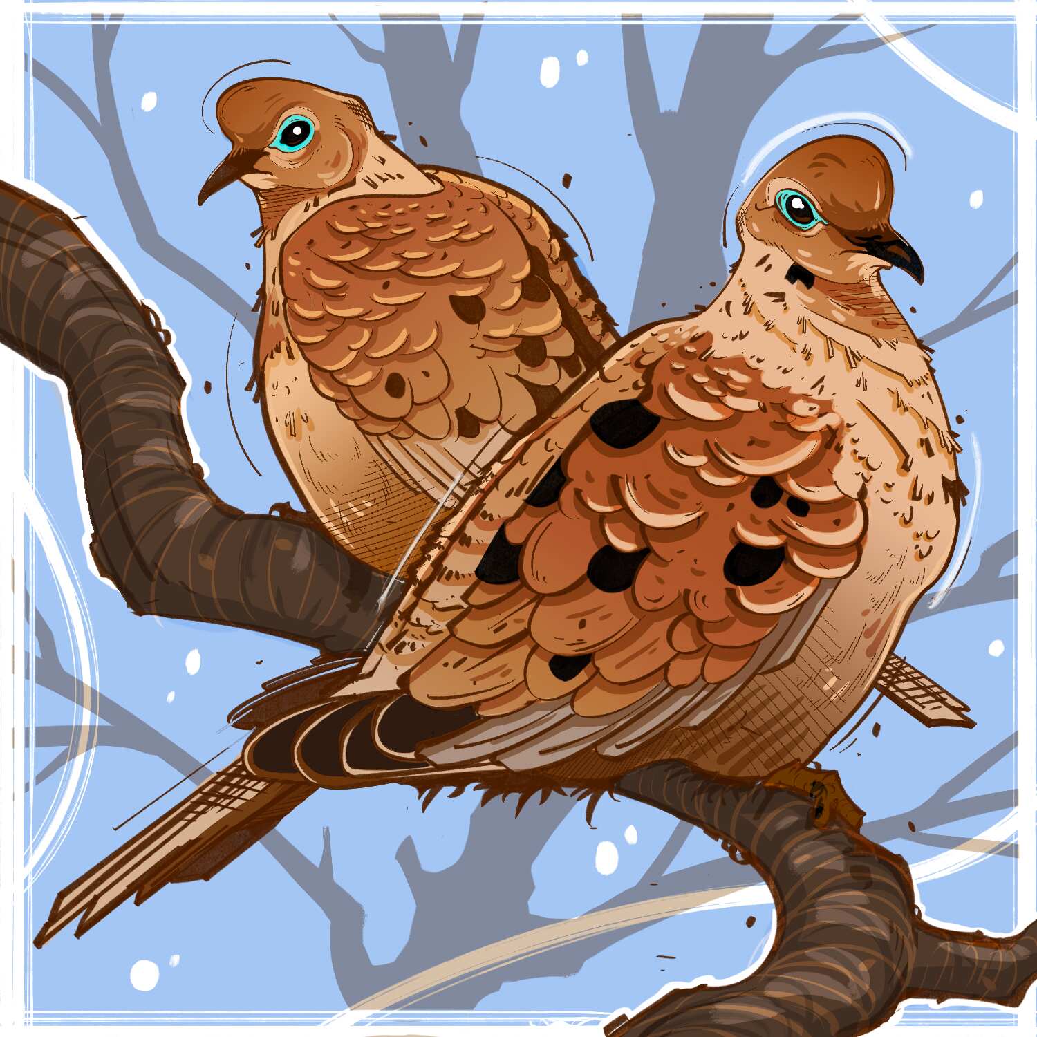 Birds Of A Feather • British Columbia Magazine