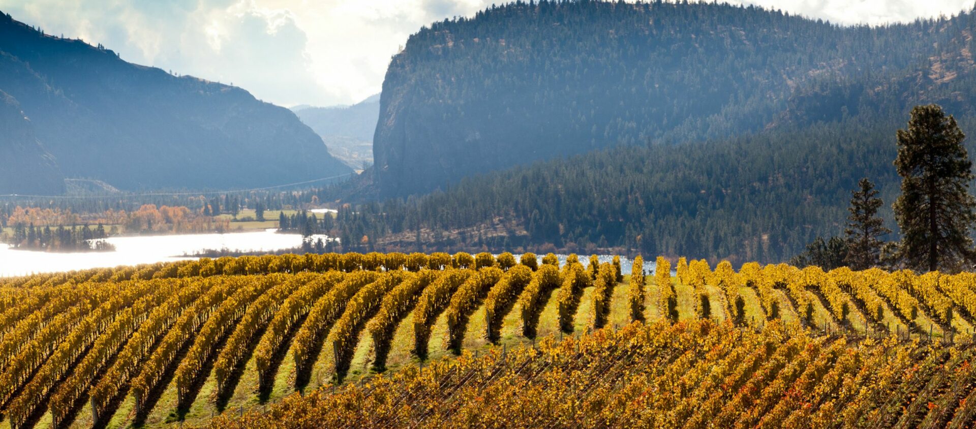 3 Fall Festivals in BC That Will Blow You Away • British Columbia Magazine