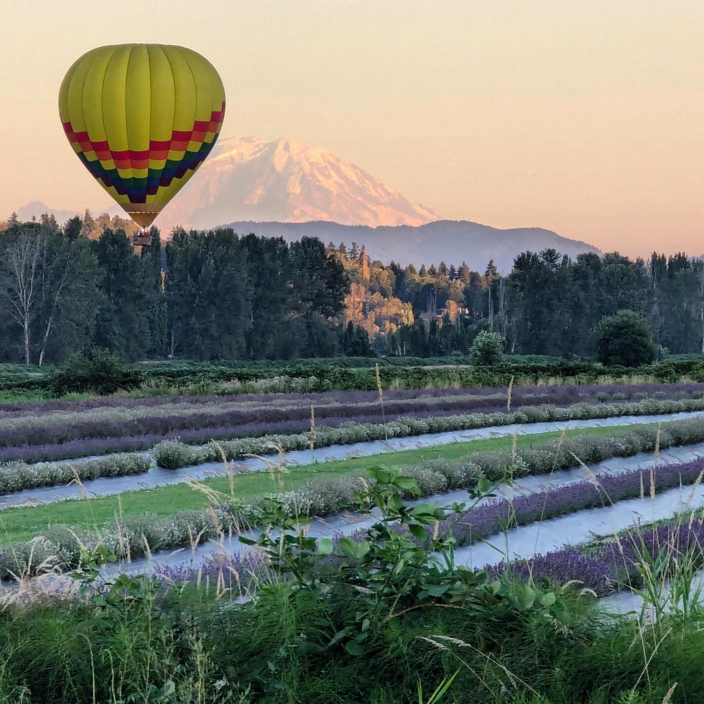 Discover Woodinville • British Columbia Magazine