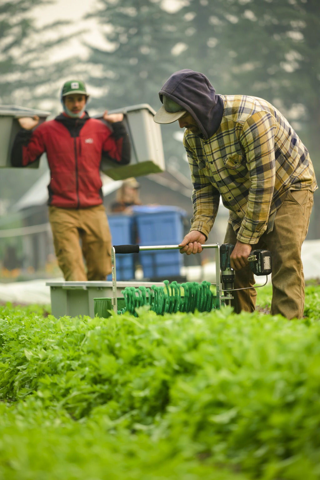 Chris Rubens: Heli-Skier Turned Farmer