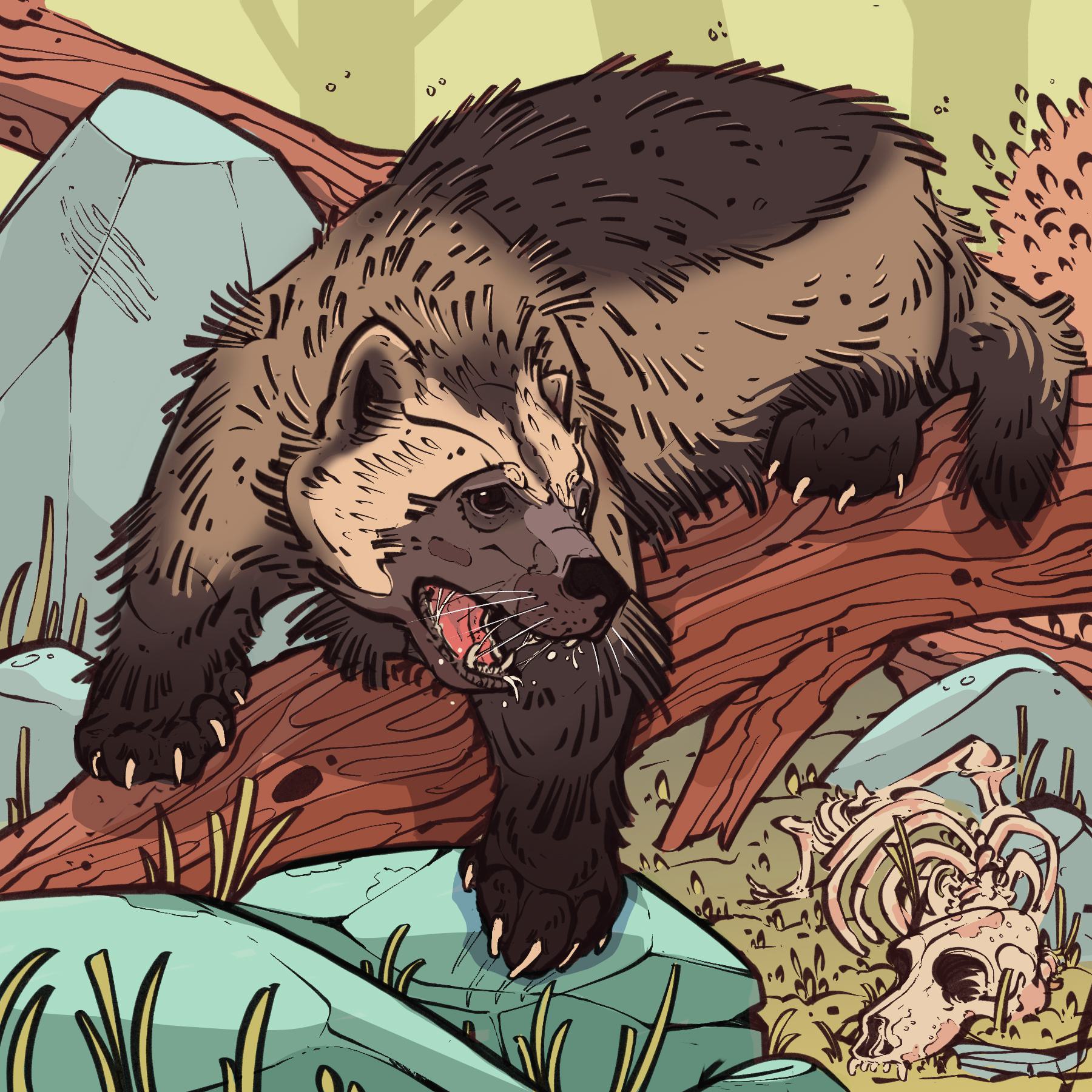 Pugnacious Skunk Bears • British Columbia Magazine