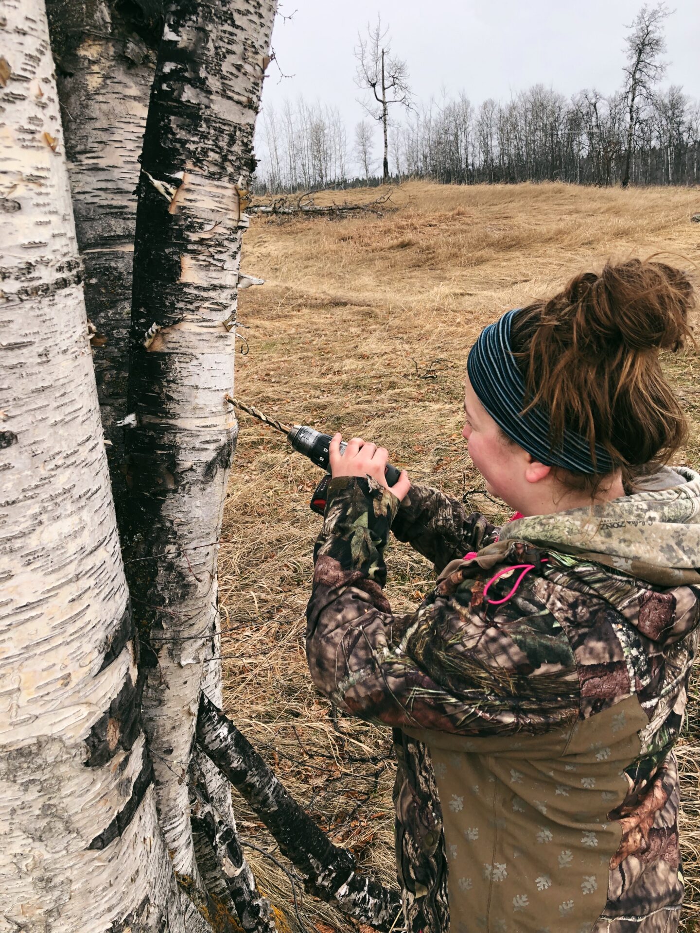 Early Spring Foraging • British Columbia Magazine