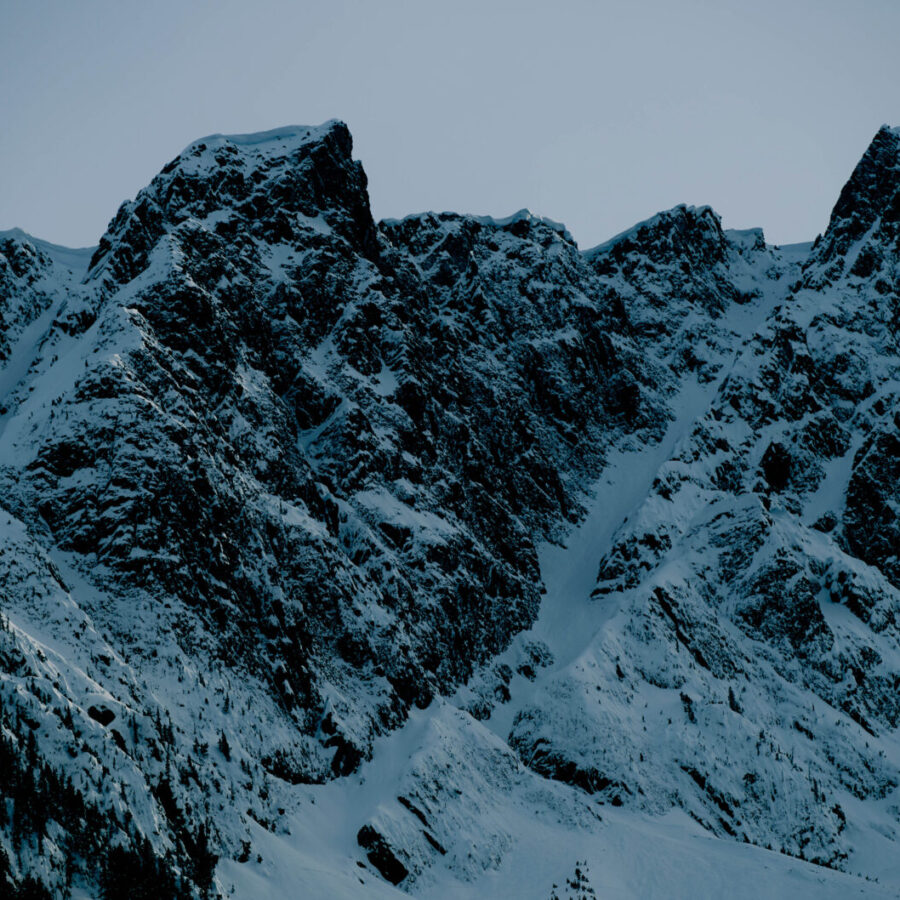 BC's Joseph Coyle - Inventor Of The Egg Carton • British Columbia Magazine