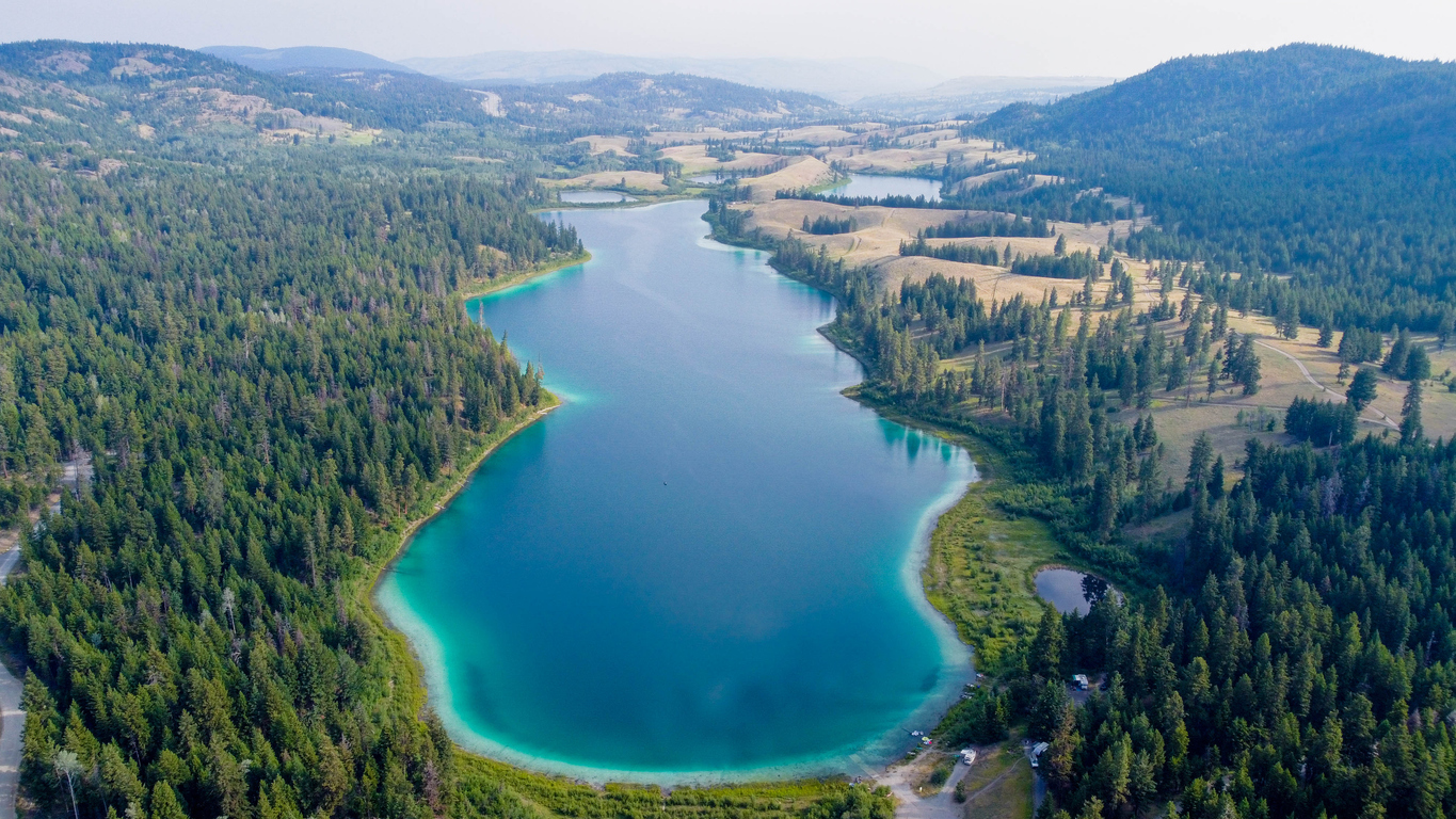Basking Shoreside At Alleyne Lake • British Columbia Magazine
