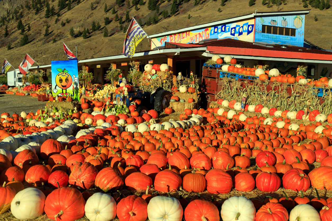 BC’S Freshest Flavours: When To Enjoy Local Fruits And Veggies ...